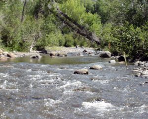 Project Map – Ecological Resource Consultants, Inc