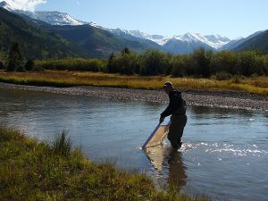 Stream Assessments – Ecological Resource Consultants, Inc